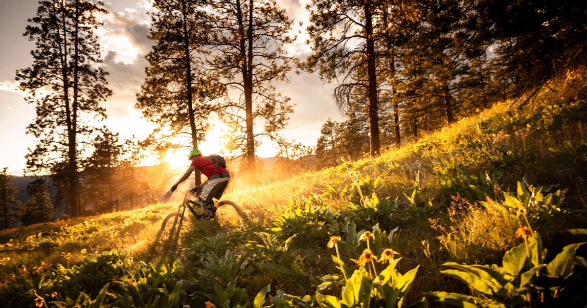 Lisbonne : Circuit en VTT dans le parc de Monsanto avec formation ...