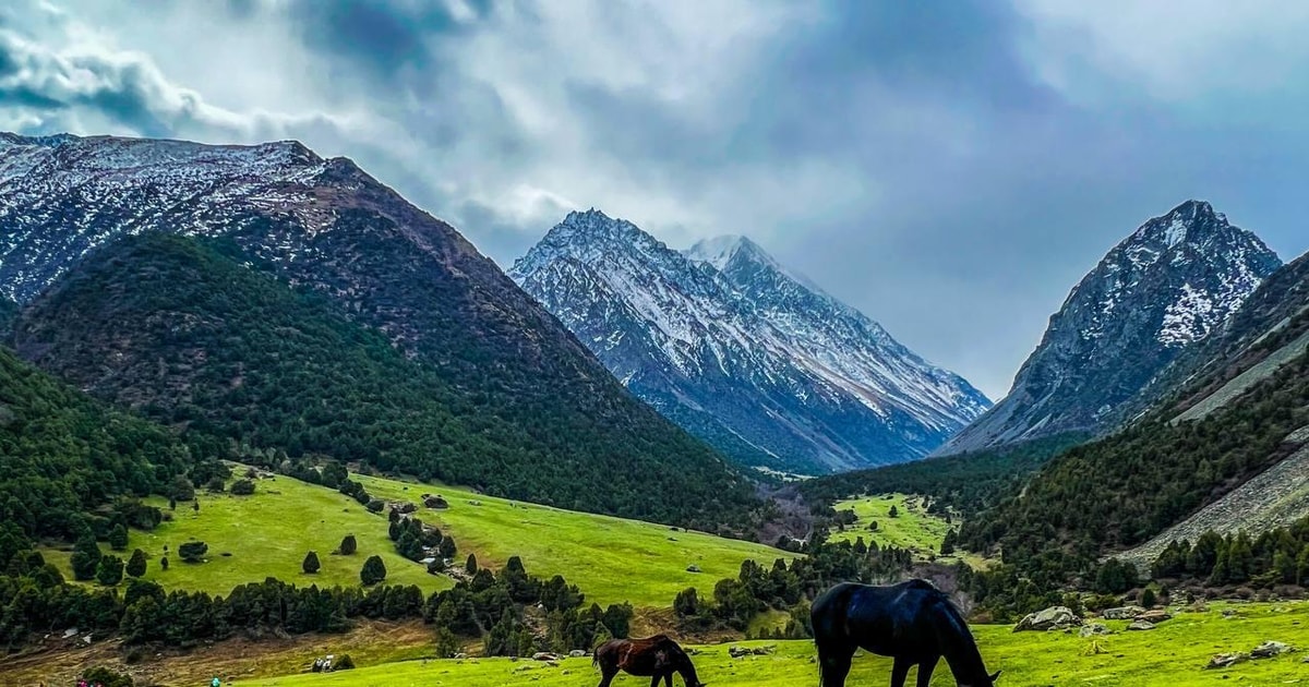 From Bishkek: Alammedinsky Gorge and Teke-Tor Waterfall Tour | GetYourGuide