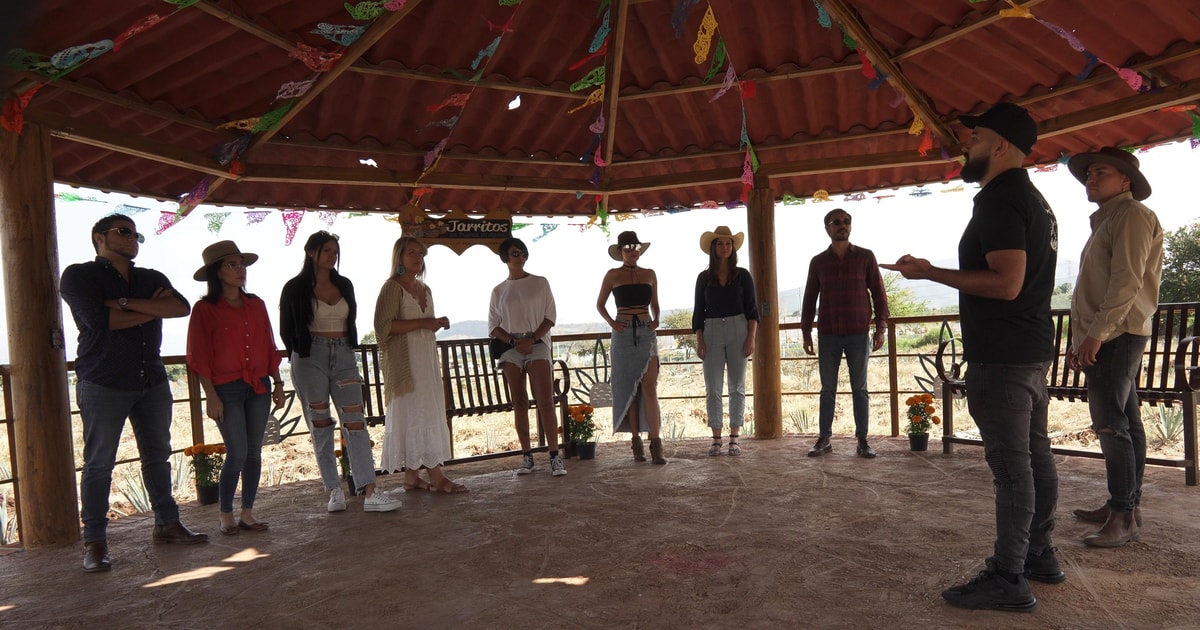 Guadalajara: Premium Tequila Tour med smagsprøver og parring | GetYourGuide