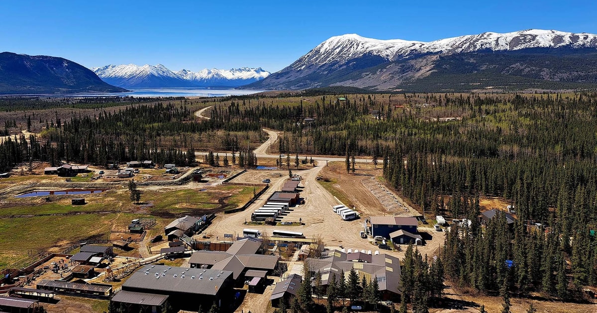 Von Skagway: Wild Adventure Yukon Tagestour mit Barbecue-Mittagessen ...