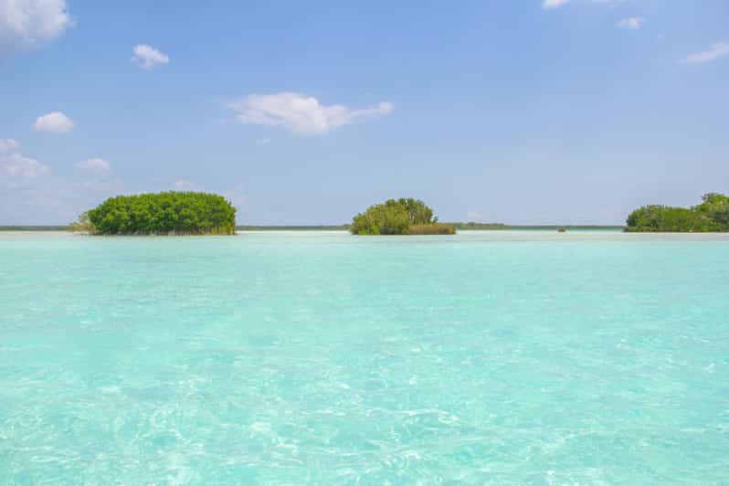 Full-Day Tour to 7 Colors Bacalar Lagoon with Lunch | GetYourGuide