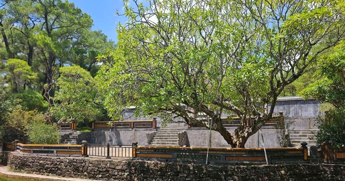 From Hue: 4 Royal Tombs Tour | GetYourGuide