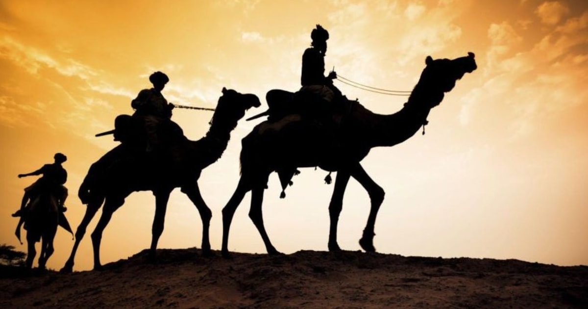 Marakeş Palmerie'de deve gezintisi turu | GetYourGuide