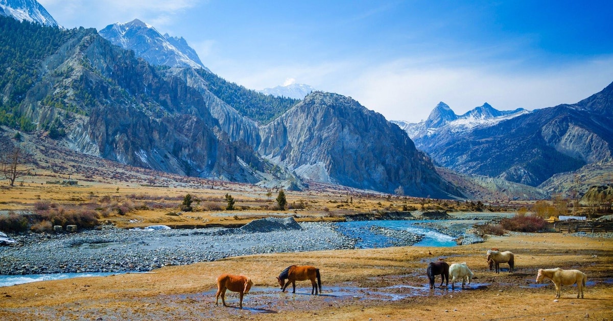 Jeep Trip to Upper Mustang | GetYourGuide