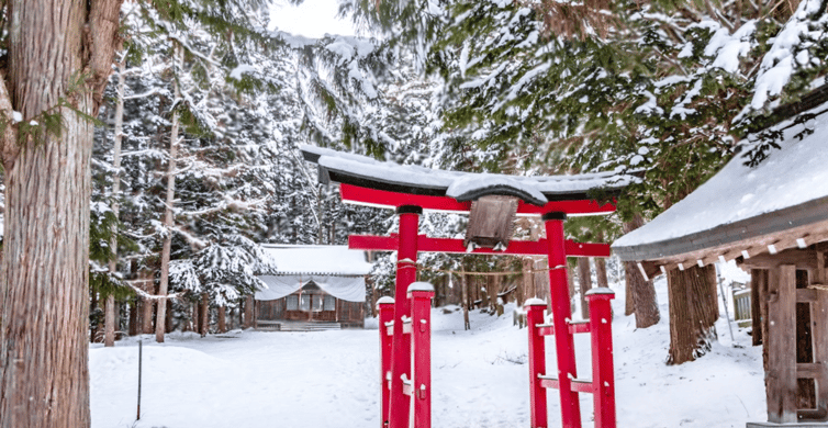Nagano: Snow Monkeys, Zenkoji Temple | GetYourGuide
