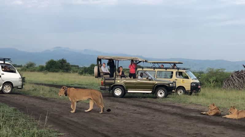 3 Ημέρες Εθνικό Πάρκο Καταρράκτες Murchison & Ziwa Rhino Safari ...