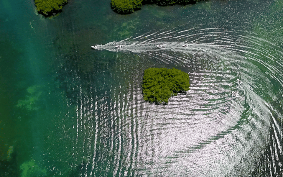 Snorkeling and Speed Boat Tour | GetYourGuide