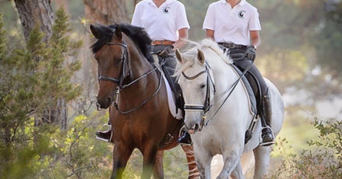 Cascais: Short Horse Ride at Riding Club | GetYourGuide
