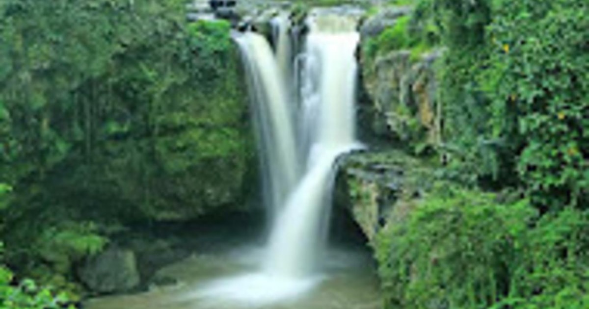 White water rafting ayung and waterfall | GetYourGuide