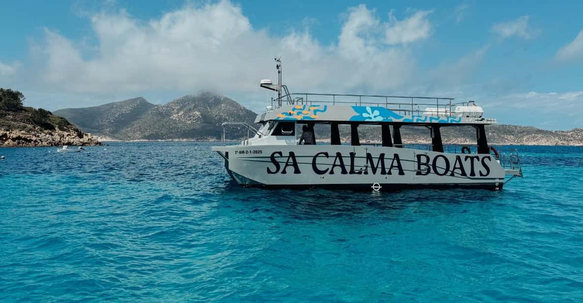 Mallorca: Visita el Parque Natural de la isla de Dragonera en barco ...