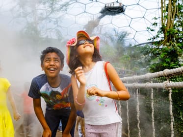Cornwall: Eden Project Admission Ticket | GetYourGuide