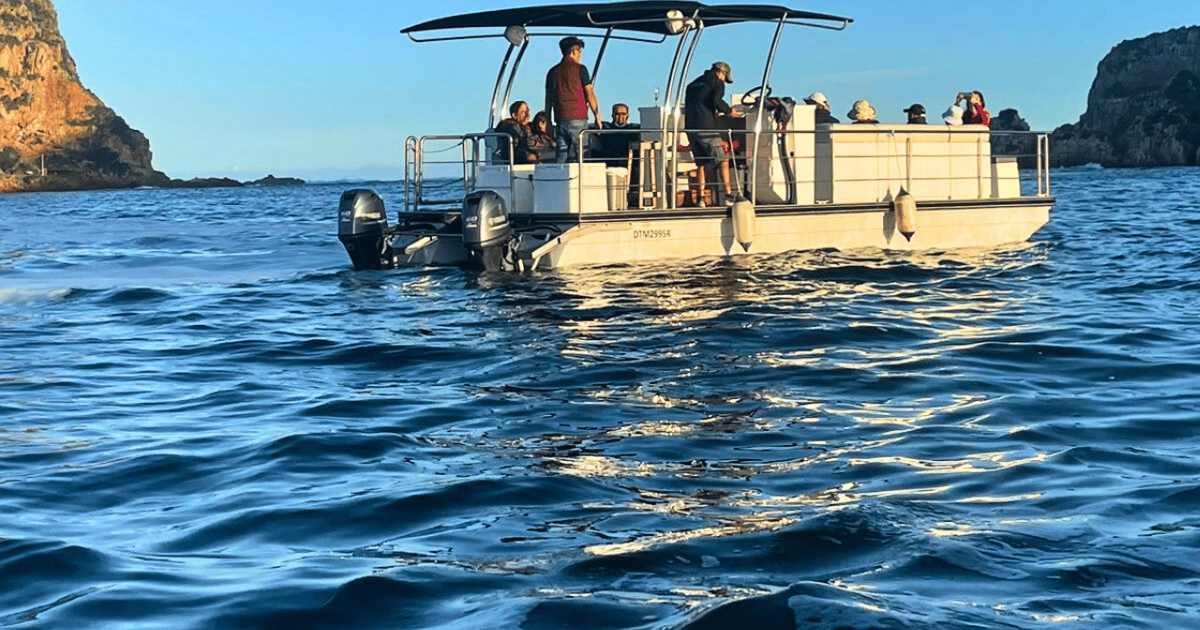 Knysna: 75-Minute Lagoon Boat Cruise | GetYourGuide