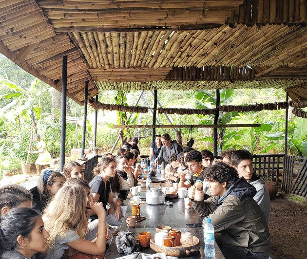 Materuni Waterfall and Coffee Tour | GetYourGuide