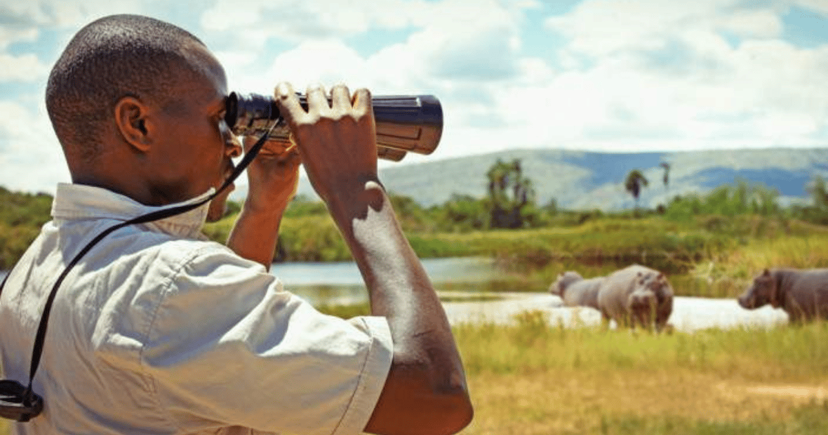 From Kigali: Akagera National Park Game Drive with Boat Ride | GetYourGuide