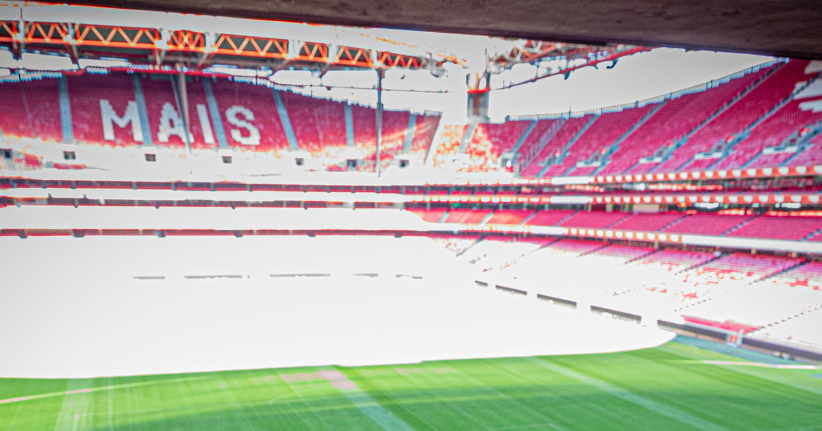 Benfica Stadium and Museum Tour with Lunch Voucher | GetYourGuide