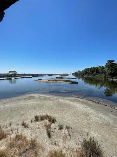 Divjaka-Karavasta National Park Daily Tour | GetYourGuide