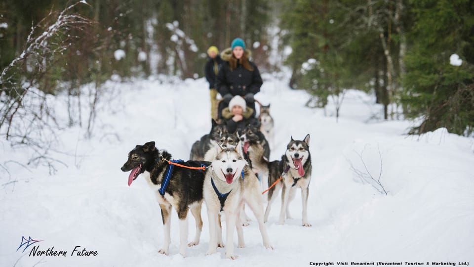Meeting Santa Claus & Arctic Reindeer Safari & Hug Huskies | GetYourGuide