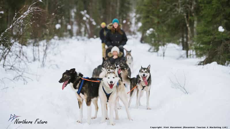 Rovaniemi: Meet Santa Claus, Reindeer Sleigh Ride & Huskies | GetYourGuide