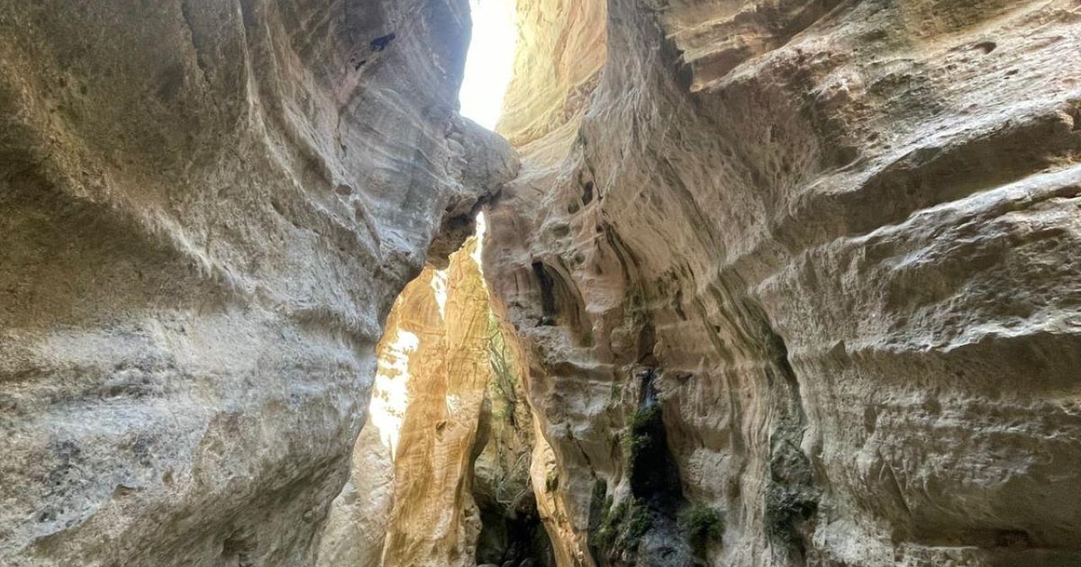 Paphos: Avakas Gorge Off-Road Tour and Swim with Turtles | GetYourGuide