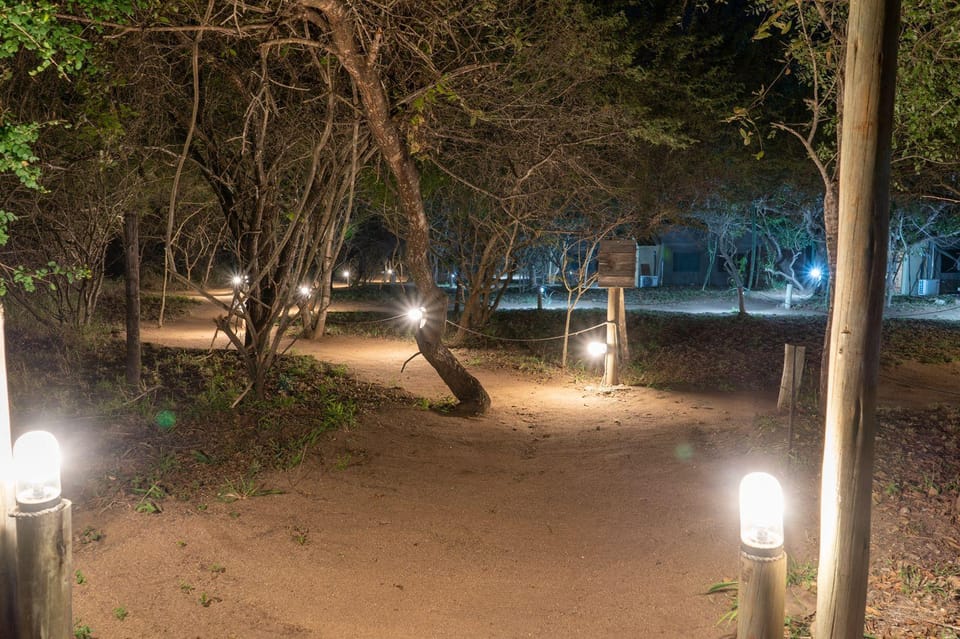 5 Tage Dumela Tented Camp Safari | GetYourGuide