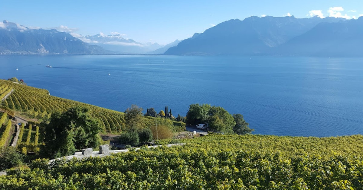 Ginebra: tour de cata de vinos por Lavaux, Chexbres y Valais | GetYourGuide