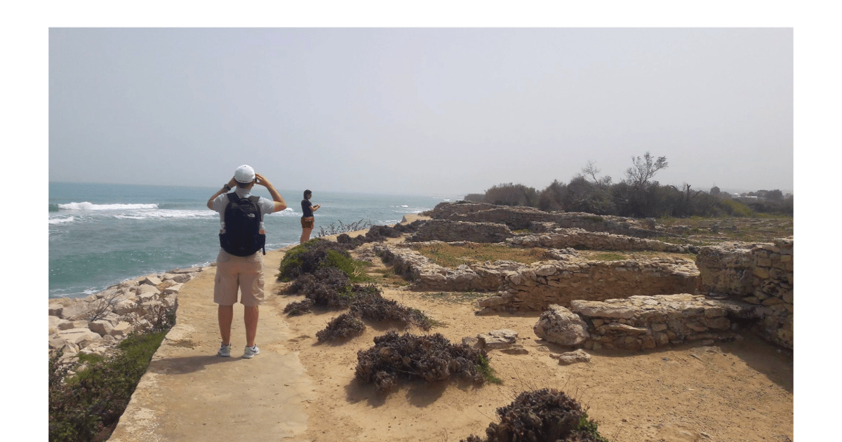 Cap Bon Unveiled: Guided Exploration in Tunisia | GetYourGuide