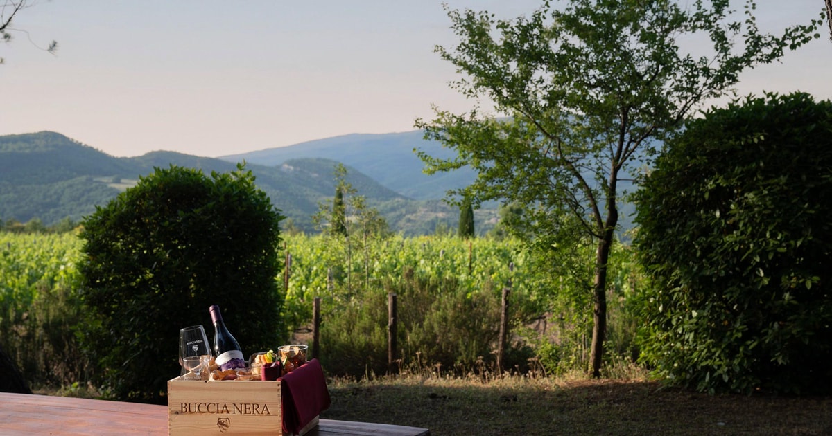 Buccia Nera Winery: Picnic, Vineyard, Wine, Food and Nature | GetYourGuide