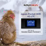 Τόκιο: Αεροσταθμός 3 του αεροδρομίου Haneda: Ενοικίαση κινητού WiFi ...