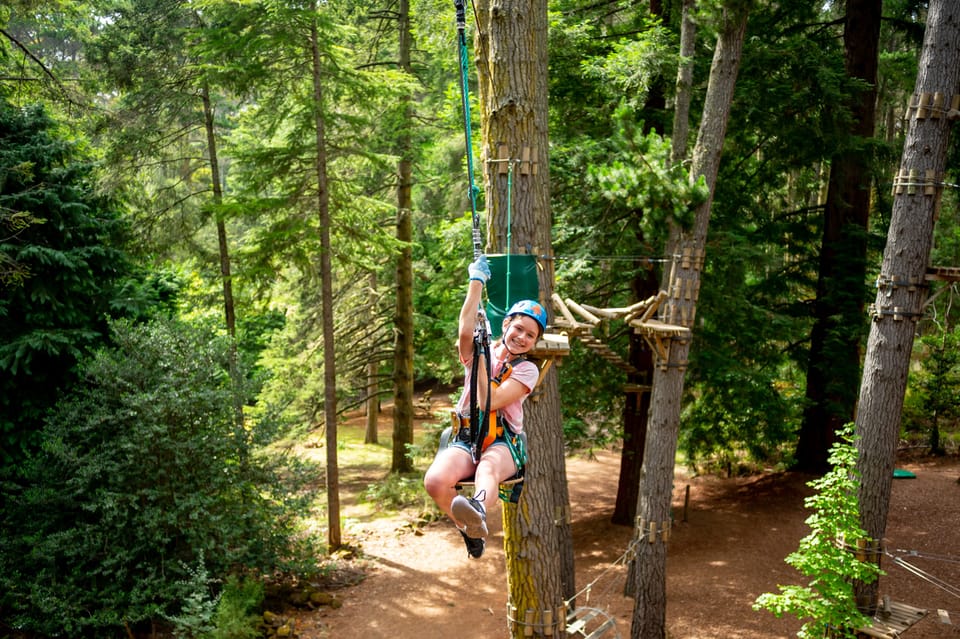 Launceston: Hollybank Tree Ropes Course | GetYourGuide