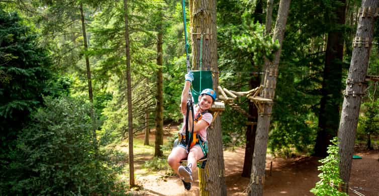 Launceston: Hollybank Tree Ropes Course | GetYourGuide