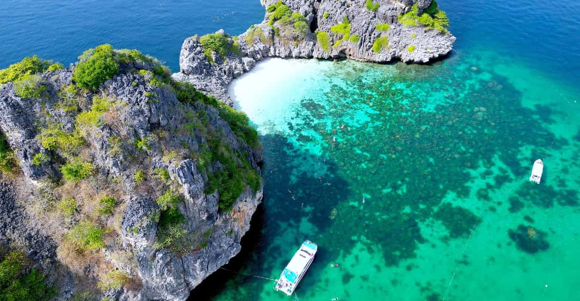 Lanta: Koh Rok & Koh Haa Snorkel & Strand Tour per Speedboot | GetYourGuide