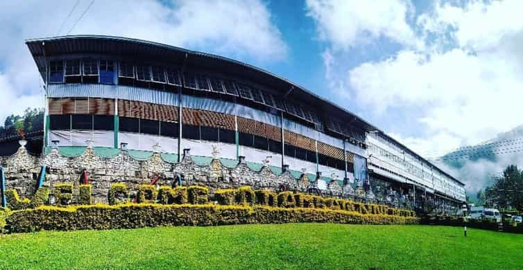 Lipton Seat and Dambetenna Tea Factory: All Inclusive Tour! | GetYourGuide