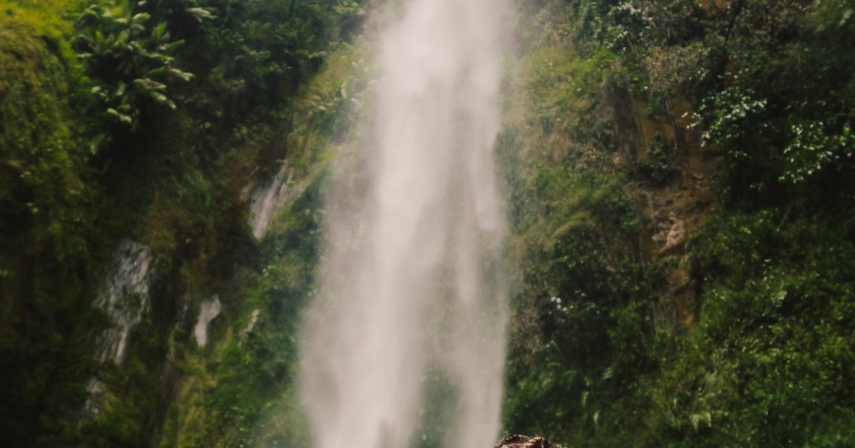 Arusha nature hike to Napuru waterfalls. | GetYourGuide