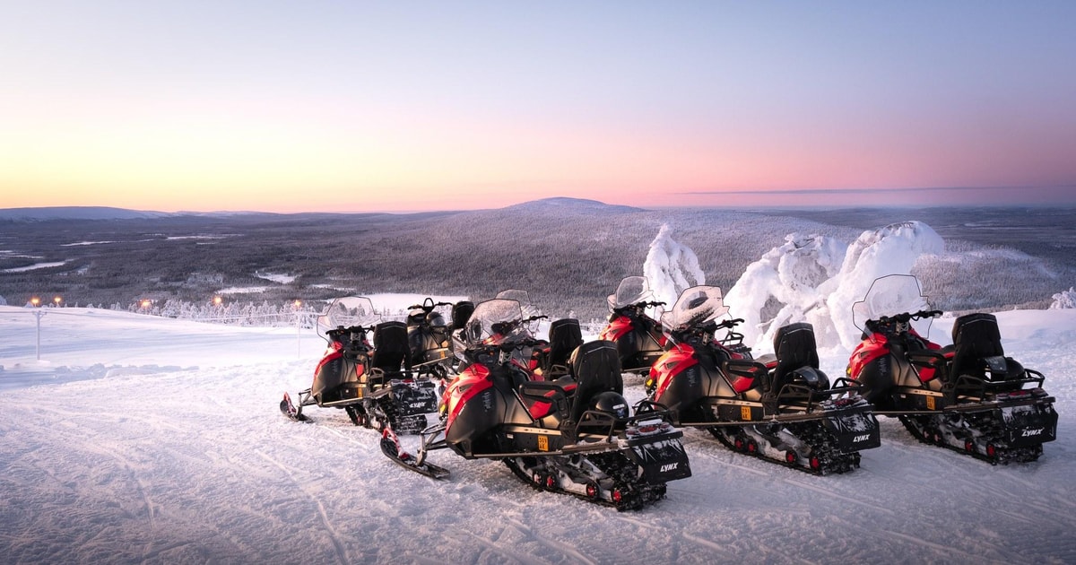 Levi: safari di 4 ore in motoslitta a Levi | GetYourGuide