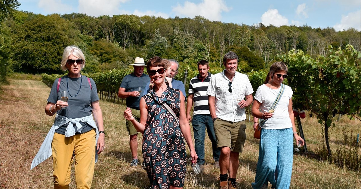 Kent: Tour and Wine Tasting at Westwell Wine Estate | GetYourGuide