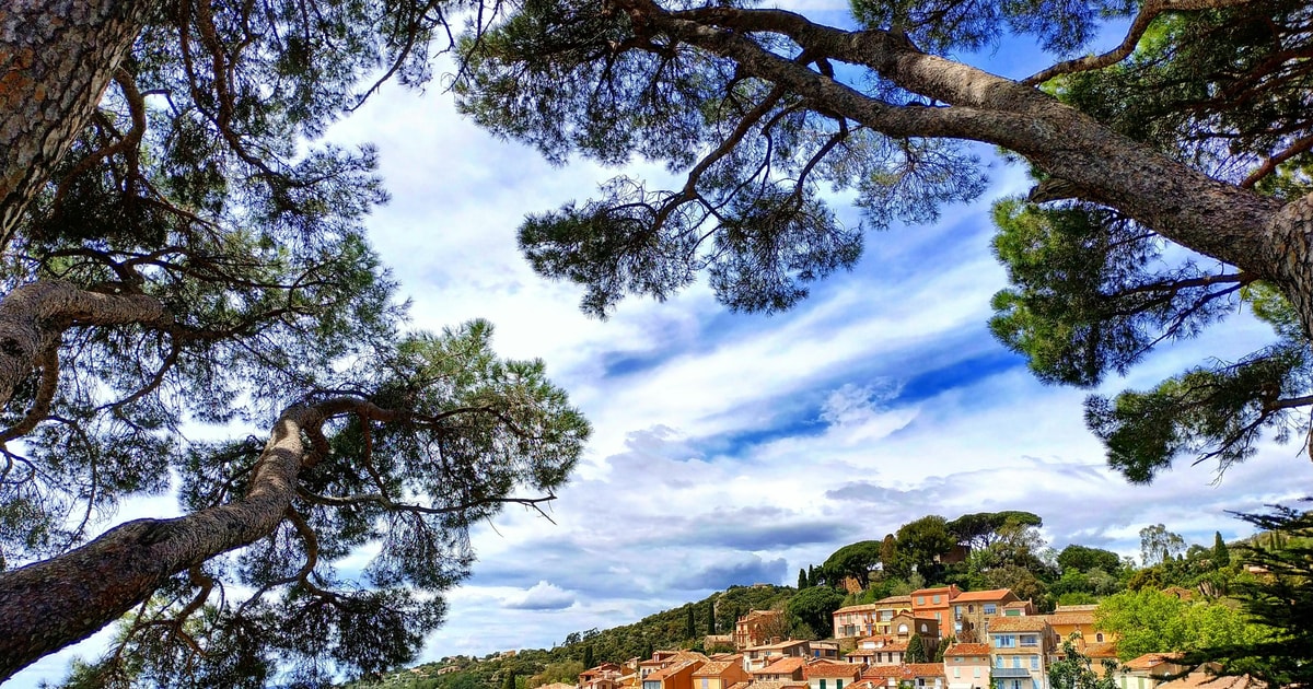 Flower city Bormes les mimosas | Private tour guide | GetYourGuide