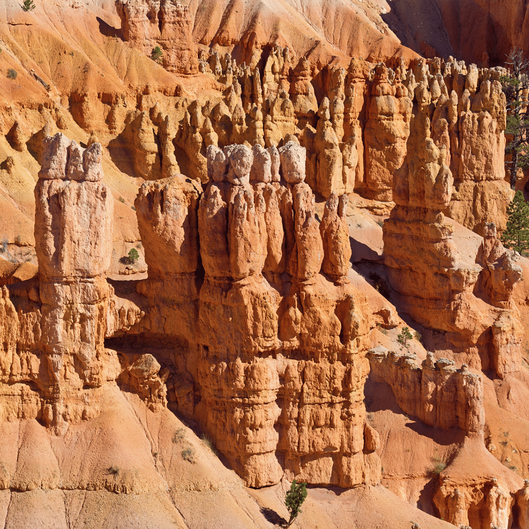 Lanzhou: Yellow River Stone Forest Private Day Trip | GetYourGuide