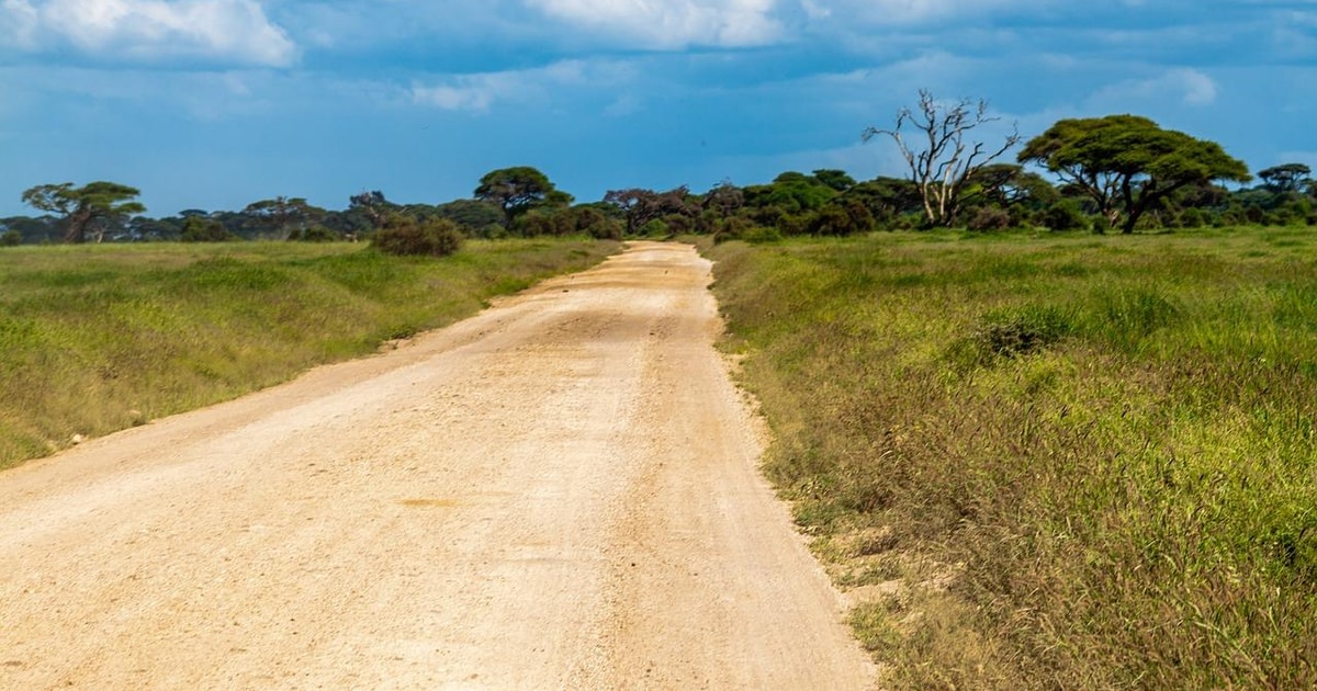Amboseli: Un viaje en grupo de 3 días | GetYourGuide