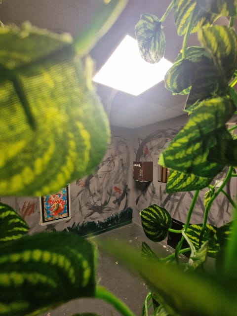 404 ESCAPE SURVIVAL | GetYourGuide