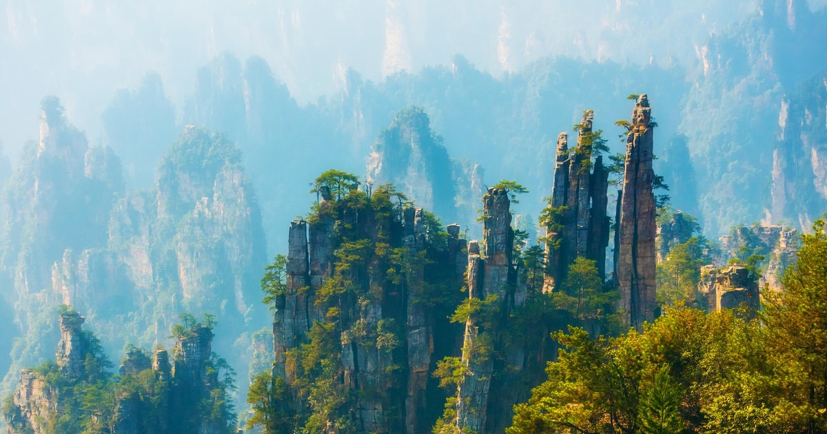 Zhangjiajie National Forest Park One-Day Tour | GetYourGuide