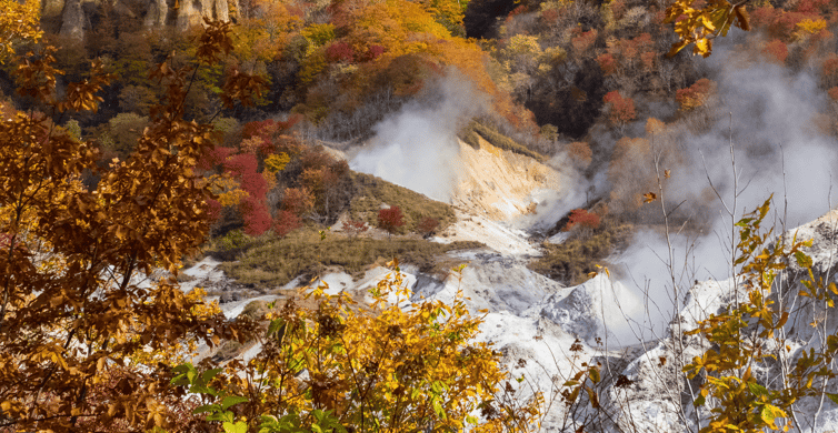 Nagano/Myoko: Jigokudani Snow Monkey Park mit Privatfahrzeug | GetYourGuide