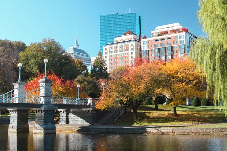 Boston Duck Tour: The Original and World-Famous | GetYourGuide