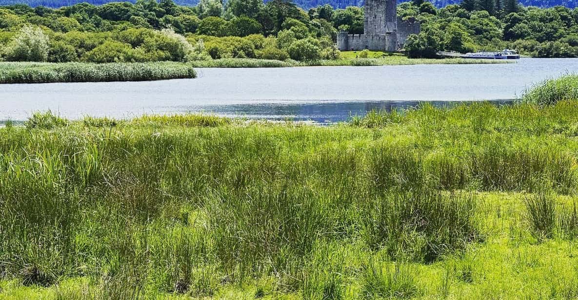 Killarney National Park Tour | GetYourGuide