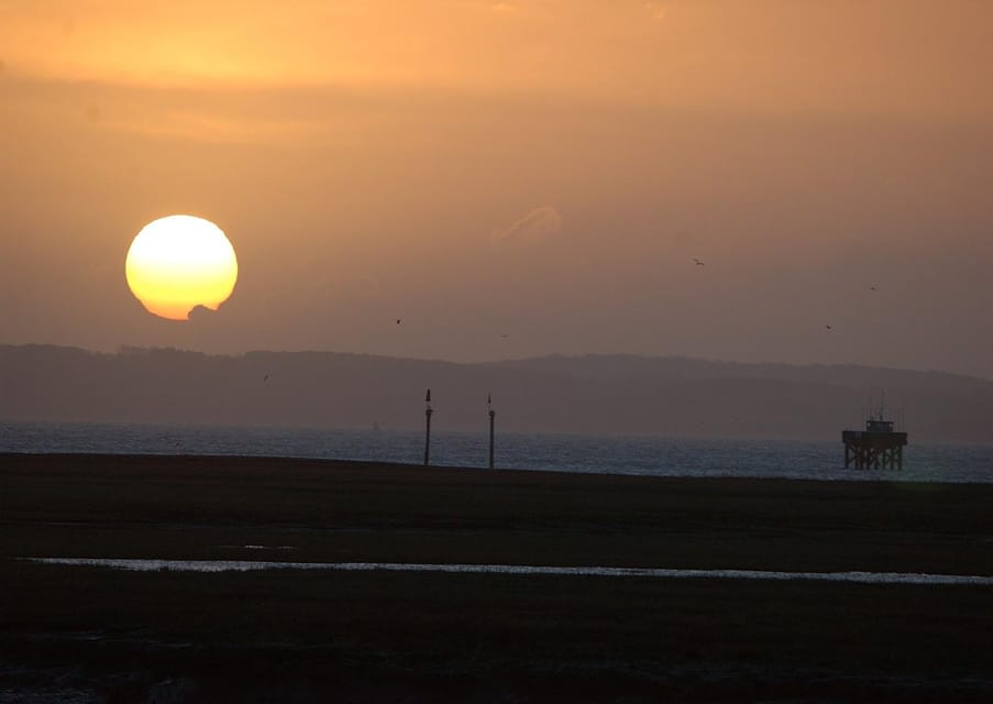 New Forest Discovery Walk (Lymington) | GetYourGuide