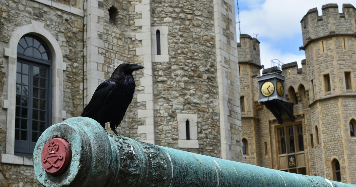 Tower of London & The Great Fire Monument Pass | GetYourGuide
