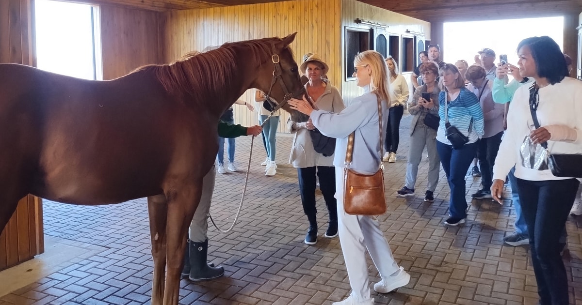 Lexington: Thoroughbred Horse Farm Tour and Scenic Bluegrass | GetYourGuide