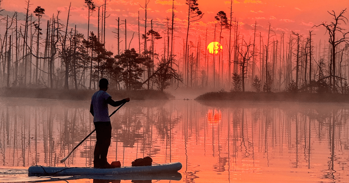 Vanuit Riga: Zonsopgang SUP Tour met Pick-Up bij Cenas Tīrelis ...