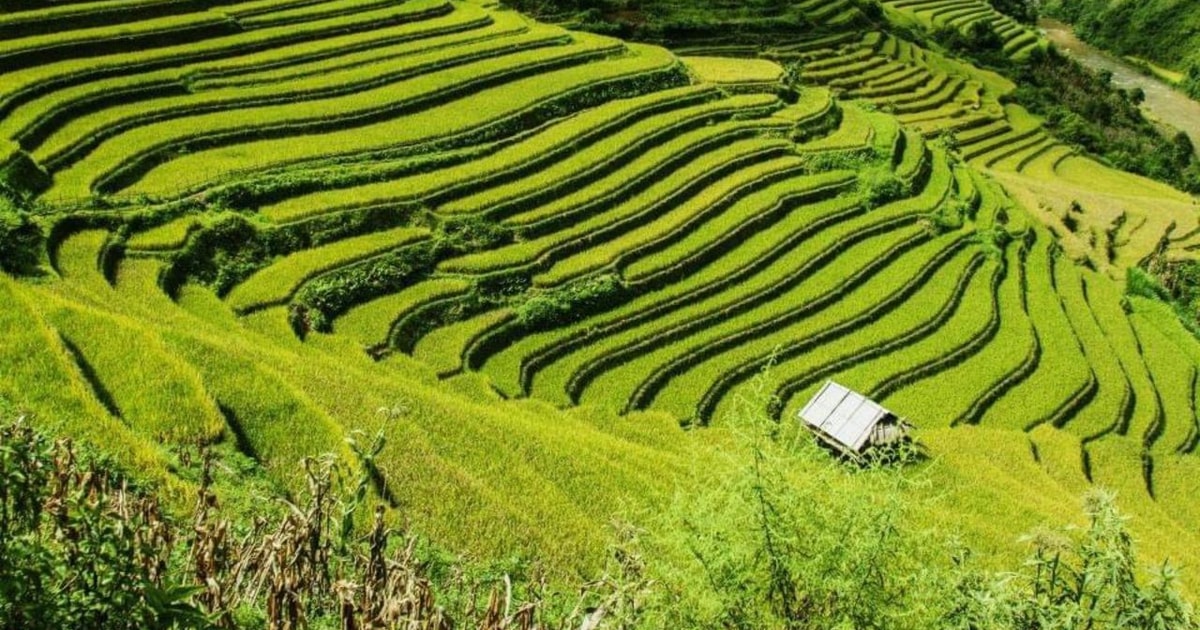 Von Hanoi aus: 2-tägige Sapa Trekking Tour Lao Chai und Cat Cat ...