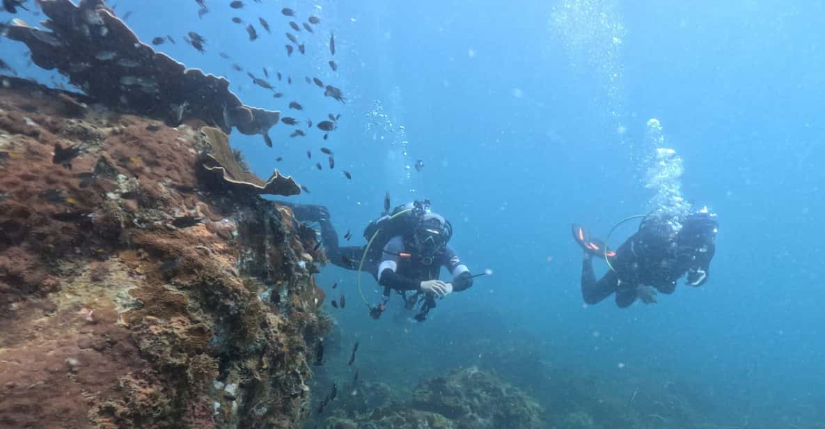 Phu Quoc : Excursion de plongée sous-marine, une journée dans l'océan ...