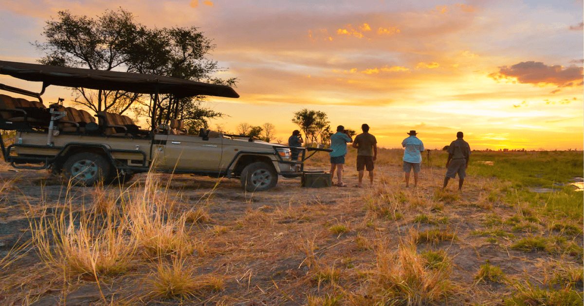 Hwange Day and Overnight Safari | GetYourGuide